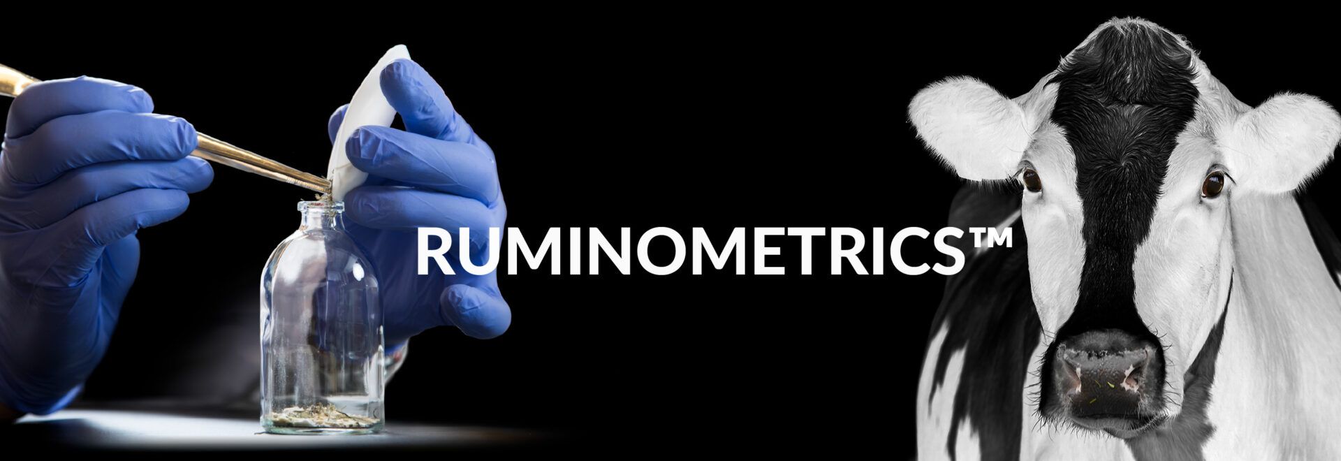 Ruminometrics™ – Advancing methane reduction with the ex vivo rumen ...